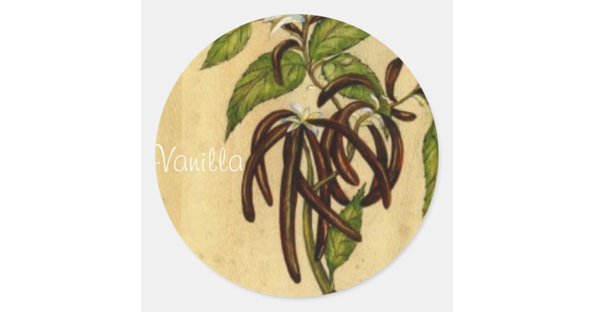 Vanilla Classic Round Sticker | Zazzle