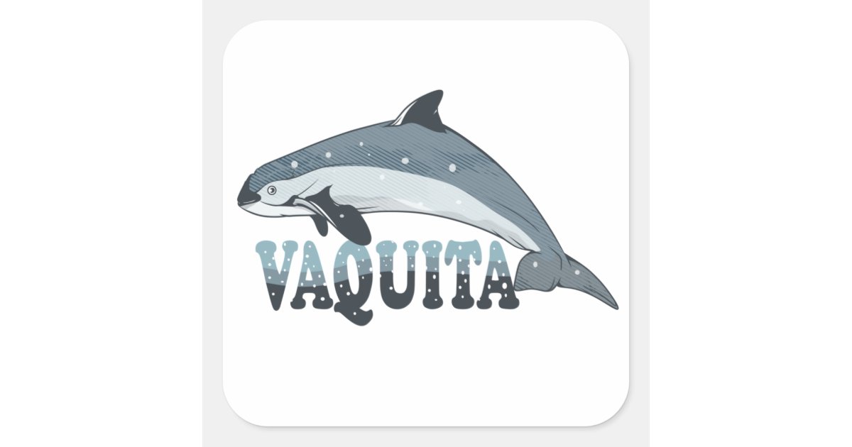 Vaquita Porpoise Endangered Species Square Sticker | Zazzle