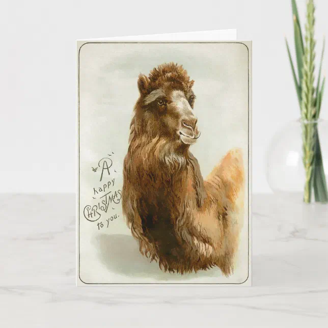 Victorian Camel Christmas Card | Zazzle