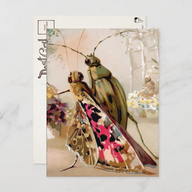 Victorian Insects Postcard | Zazzle