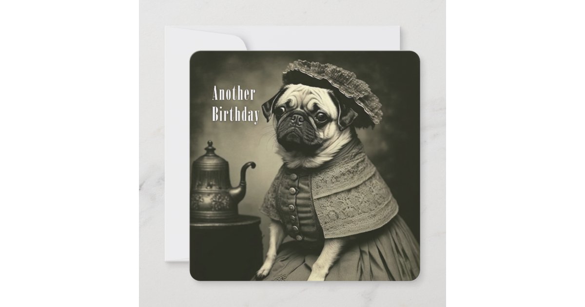 Victorian Pug Birthday Card - Funny picture of Pug | Zazzle