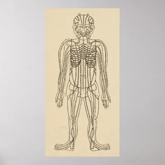 Vintage Acupuncture Meridian Pathways Points Poster | Zazzle