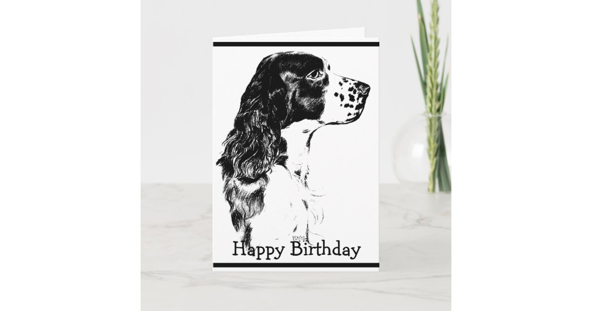 Vintage Art English Springer Spaniel Birthday Card | Zazzle