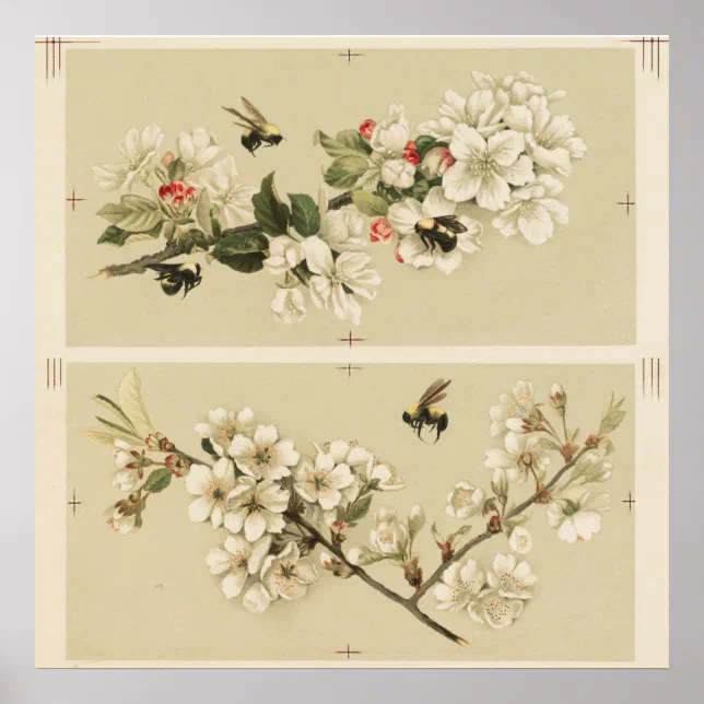 Vintage Bee Illustration Poster | Zazzle
