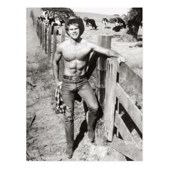 Vintage Beefcake Cowboy Postcard | Zazzle.co.uk