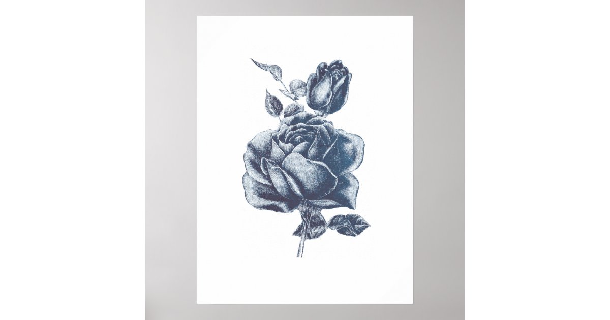 Vintage Blue Rose Drawing Poster | Zazzle