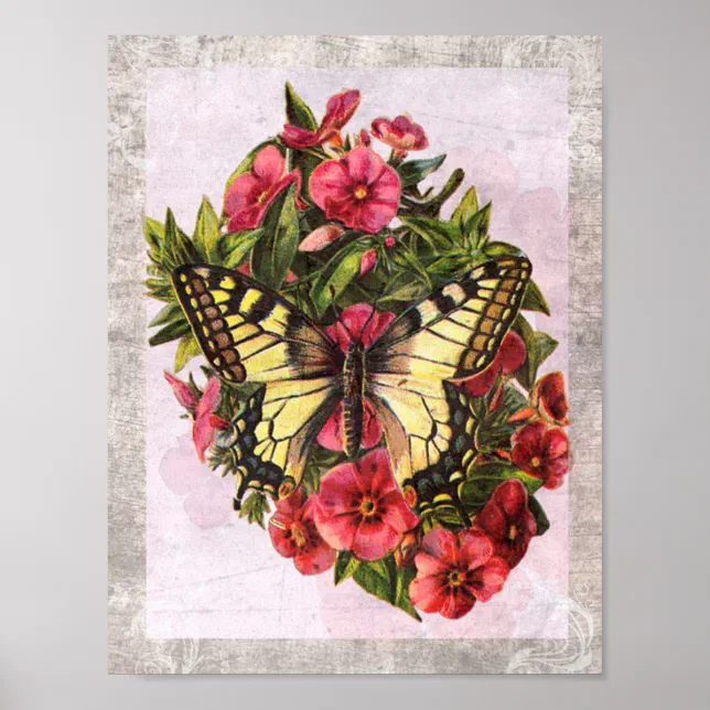 Vintage Butterfly Poster | Zazzle