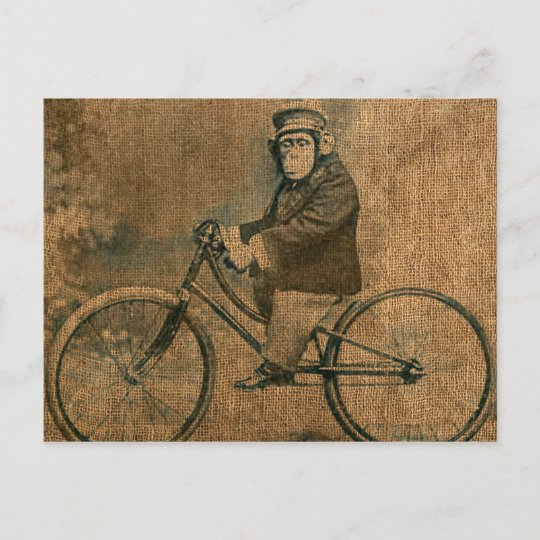 Vintage Chimp Riding a Bicycle Postcard | Zazzle.co.uk