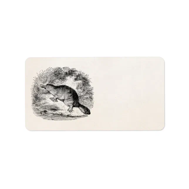 Vintage Duck Billed Platypus Personalised Animals Label | Zazzle