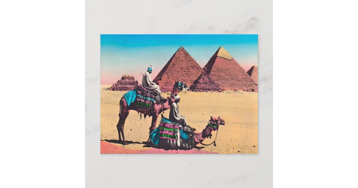 Vintage Egypt, Great Pyramid at Giza Postcard | Zazzle