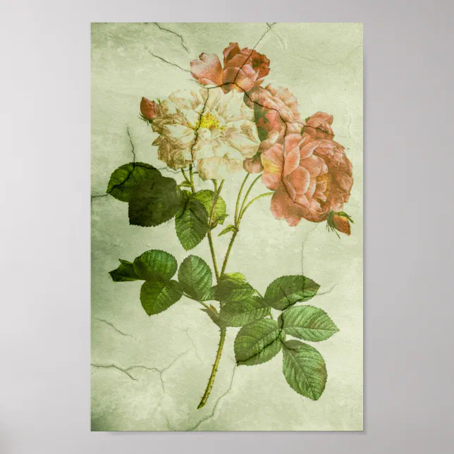 Vintage Elegant Shabby Chic Peonies Poster | Zazzle