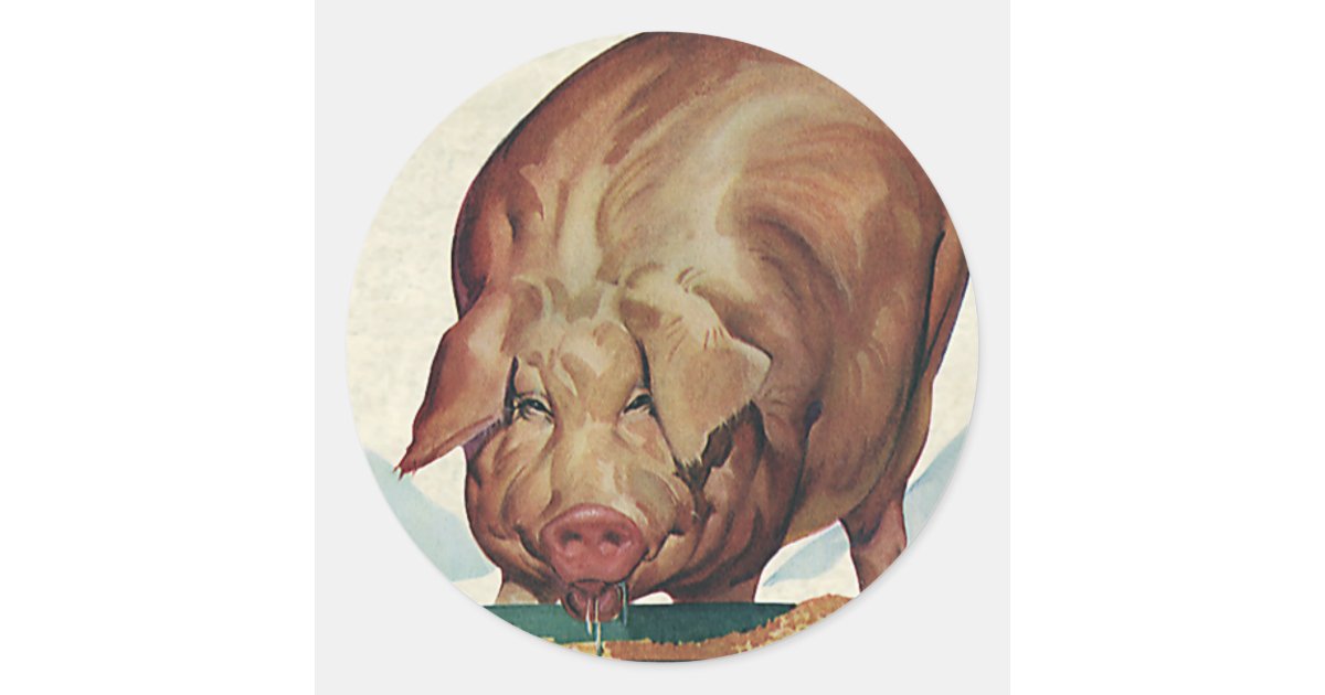 Vintage Farm Animals, Pig Eating Slop at a Trough Classic Round Sticker ...