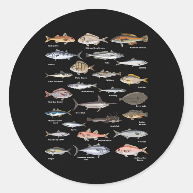 Vintage Fish Identification Chart Fishing Classic Round Sticker | Zazzle