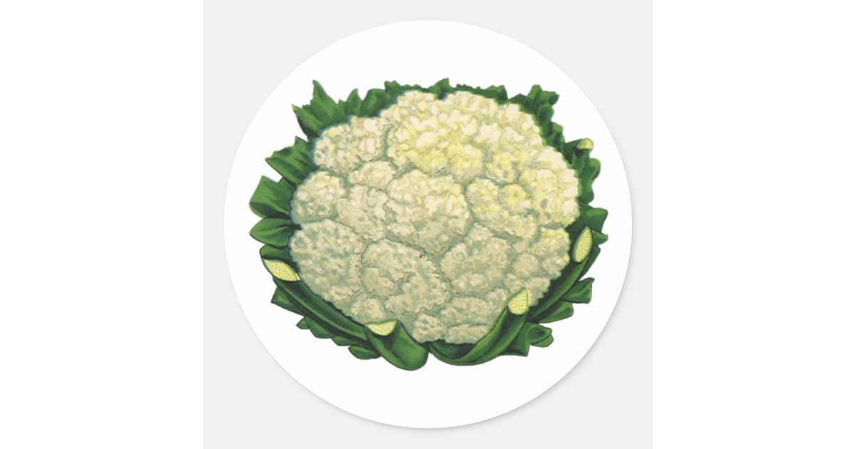 Vintage Food Vegetables Veggies Cauliflower Classic Round Sticker | Zazzle