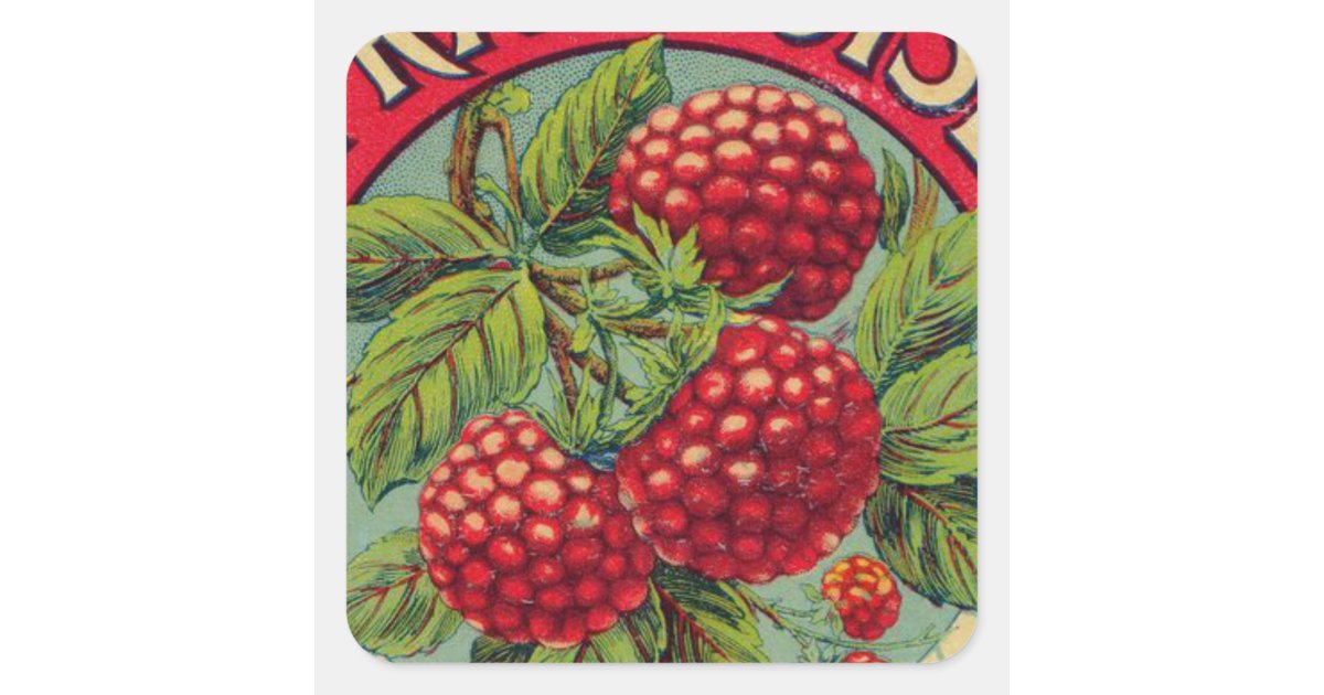 Vintage French Fruit Poster Square Sticker | Zazzle