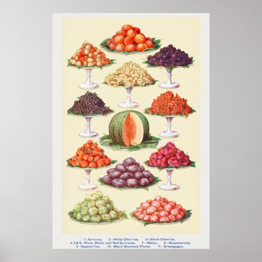Vintage Fruit Poster | Zazzle.co.uk