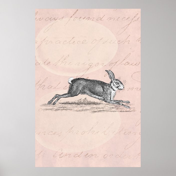 Vintage Hare Bunny Rabbit Illustration - Rabbits Poster | Zazzle.co.uk