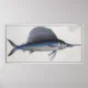 Vintage Illustration of a Sailfish (1785) Poster | Zazzle
