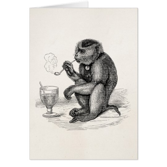 Vintage Monkey Smoking a Pipe Monkeys Animal | Zazzle.co.uk