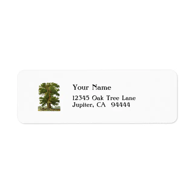 Vintage Oak Tree Custom Address Label | Zazzle