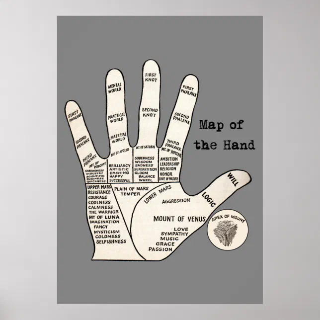 Vintage palm reading palmistry fortune poster | Zazzle