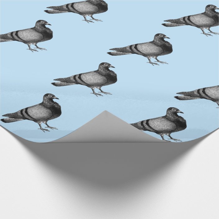 Vintage Pigeon gifts Wrapping Paper | Zazzle.co.uk