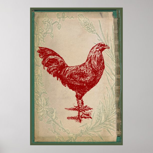 Vintage Rooster Posters & Prints | Zazzle UK