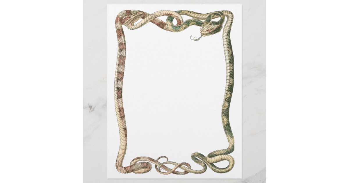 Vintage Reptiles, Entwined Snakes or Vipers Border Flyer | Zazzle