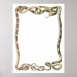 Vintage Snake Posters & Prints | Zazzle UK