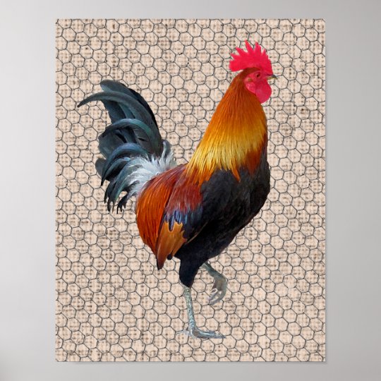 Vintage Rooster Design Poster | Zazzle.co.uk
