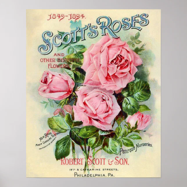 Vintage Rose Flower Catalog Cover Illustration Poster | Zazzle