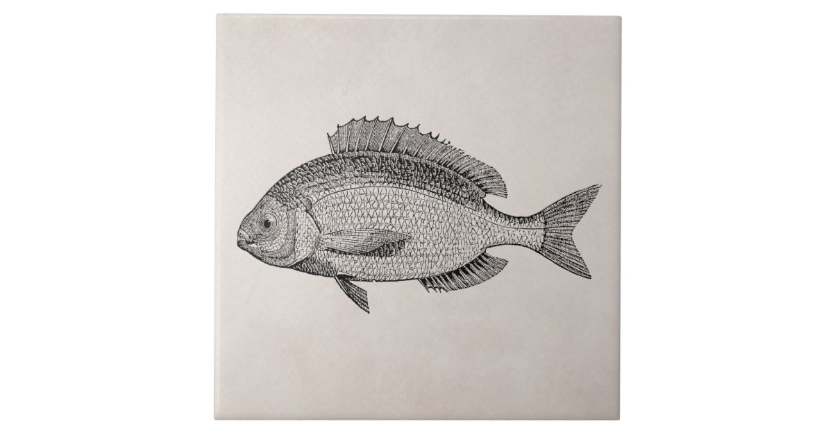 Vintage Sea Bream Fish Retro Fishes Template Tile | Zazzle