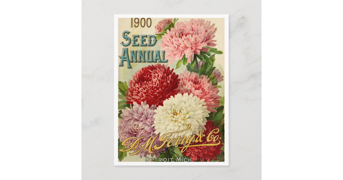 Vintage Seed Ad Postcard | Zazzle