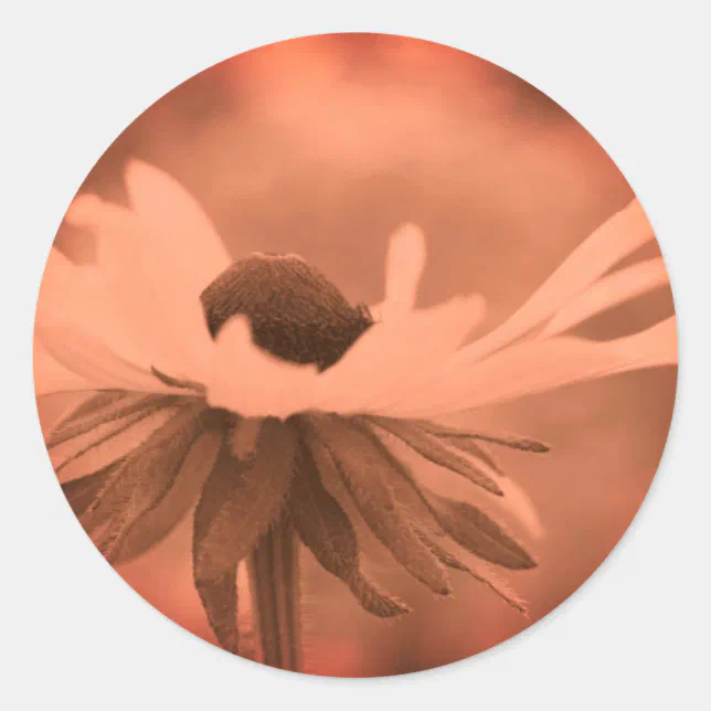 Vintage Sepia Black Eyed Susan Flower Classic Round Sticker | Zazzle