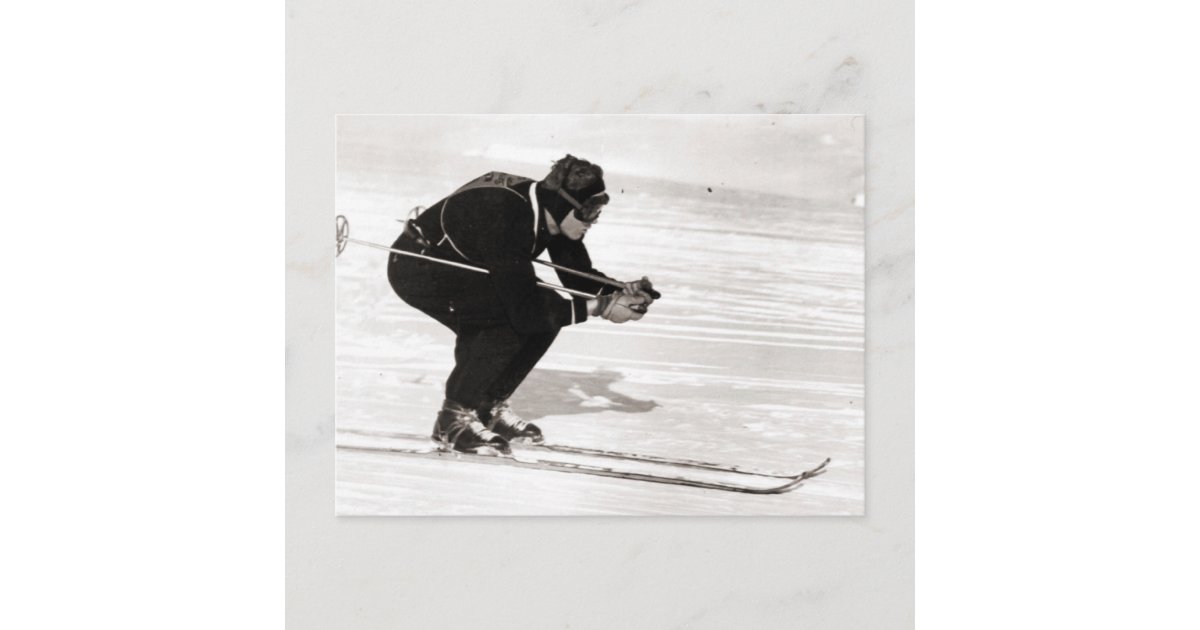 Vintage ski image, Race for the finish Postcard | Zazzle