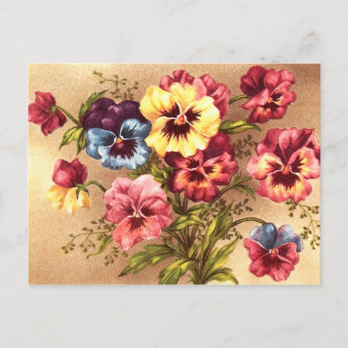 Vintage Spring Flowers Postcard | Zazzle.co.uk