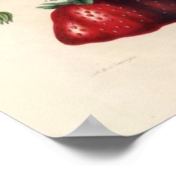 Vintage Strawberry Poster | Zazzle