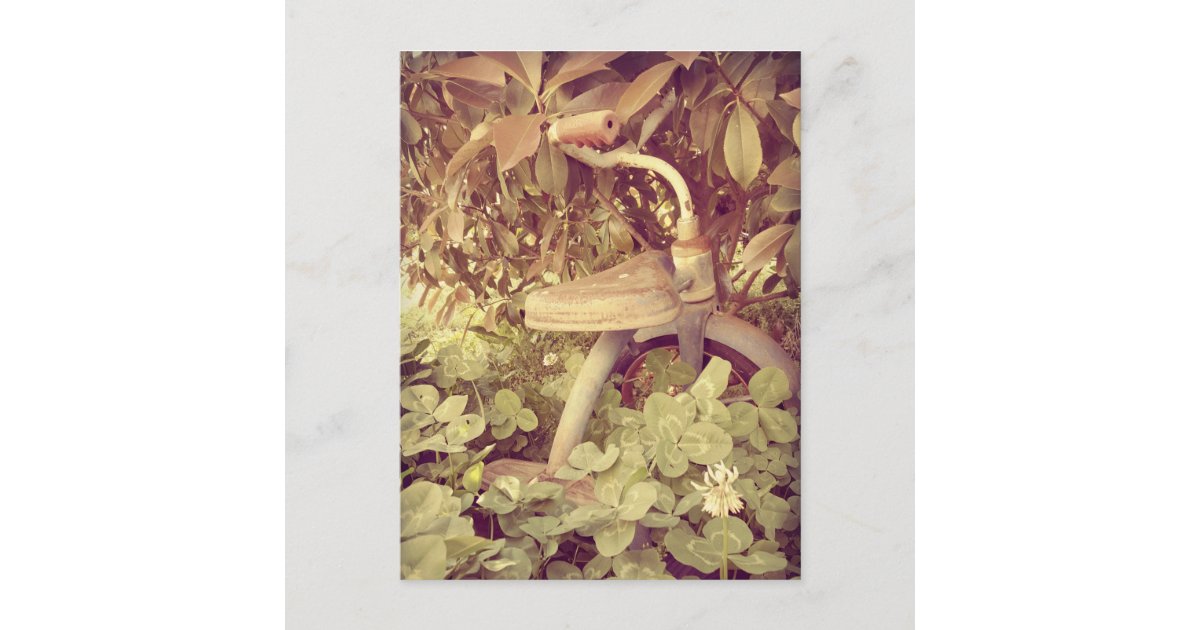 Vintage Tricycle Postcard | Zazzle
