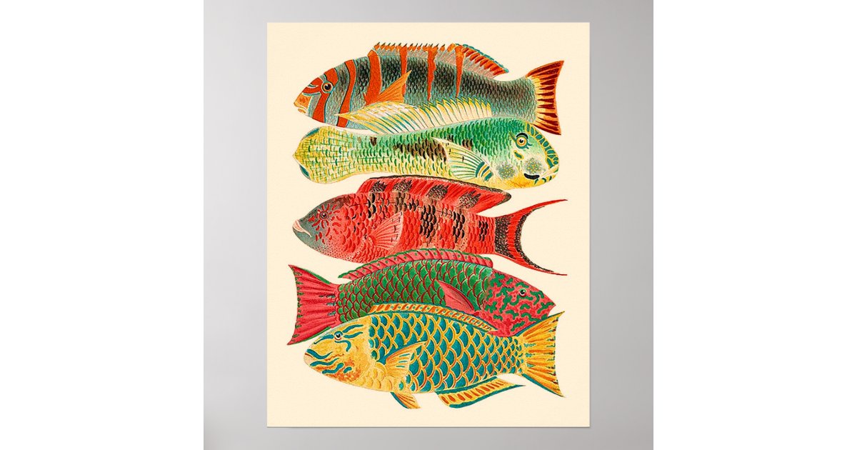 Vintage tropical ocean fish poster | Zazzle