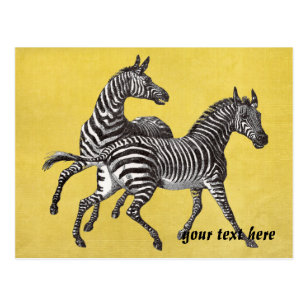 Vintage Safari Postcards | Zazzle UK