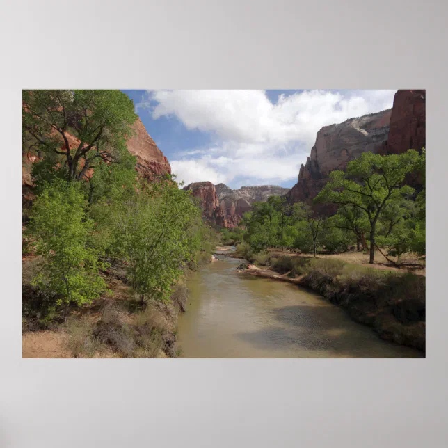 Virgin River in Spring at Zion National Park Poster | Zazzle