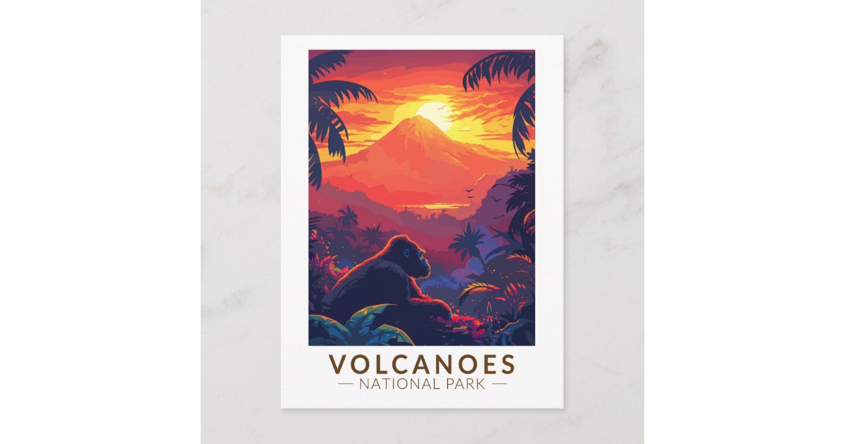 Volcanoes National Park Mountain Gorilla Travel Postcard | Zazzle