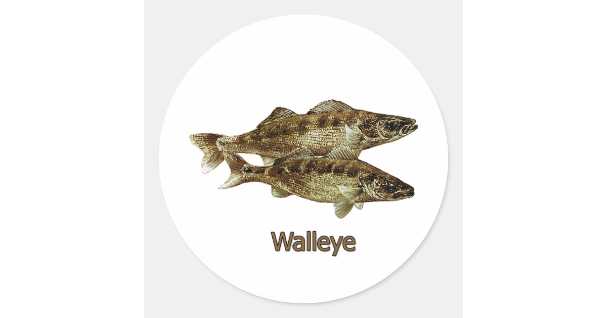 Walleye Fishing Logo Classic Round Sticker | Zazzle