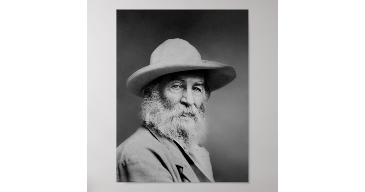 Walt Whitman Portrait Poster | Zazzle