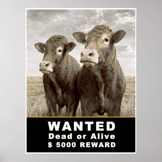 WANTED Dead or Alive $ 5000 REWARD Poster | Zazzle