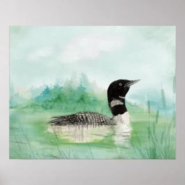 Watercolor Common Loon Wilderness Bird Art Poster | Zazzle