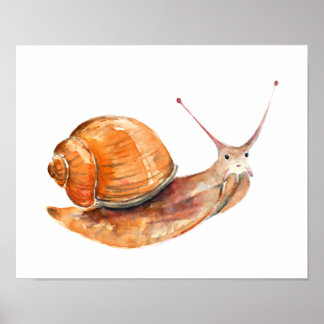 Snail Posters | Zazzle.co.uk