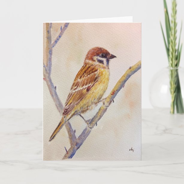 Sparrow Cards | Zazzle UK