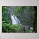Waterfall Poster | Zazzle
