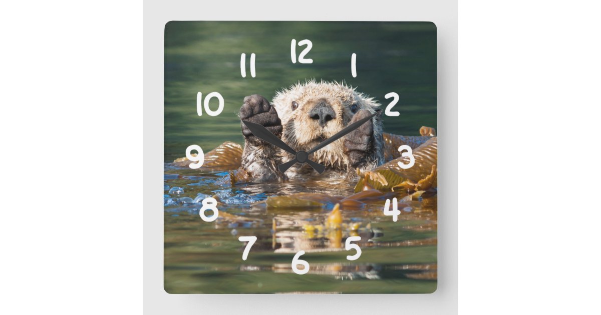 Waving Sea Otter Square Wall Clock | Zazzle